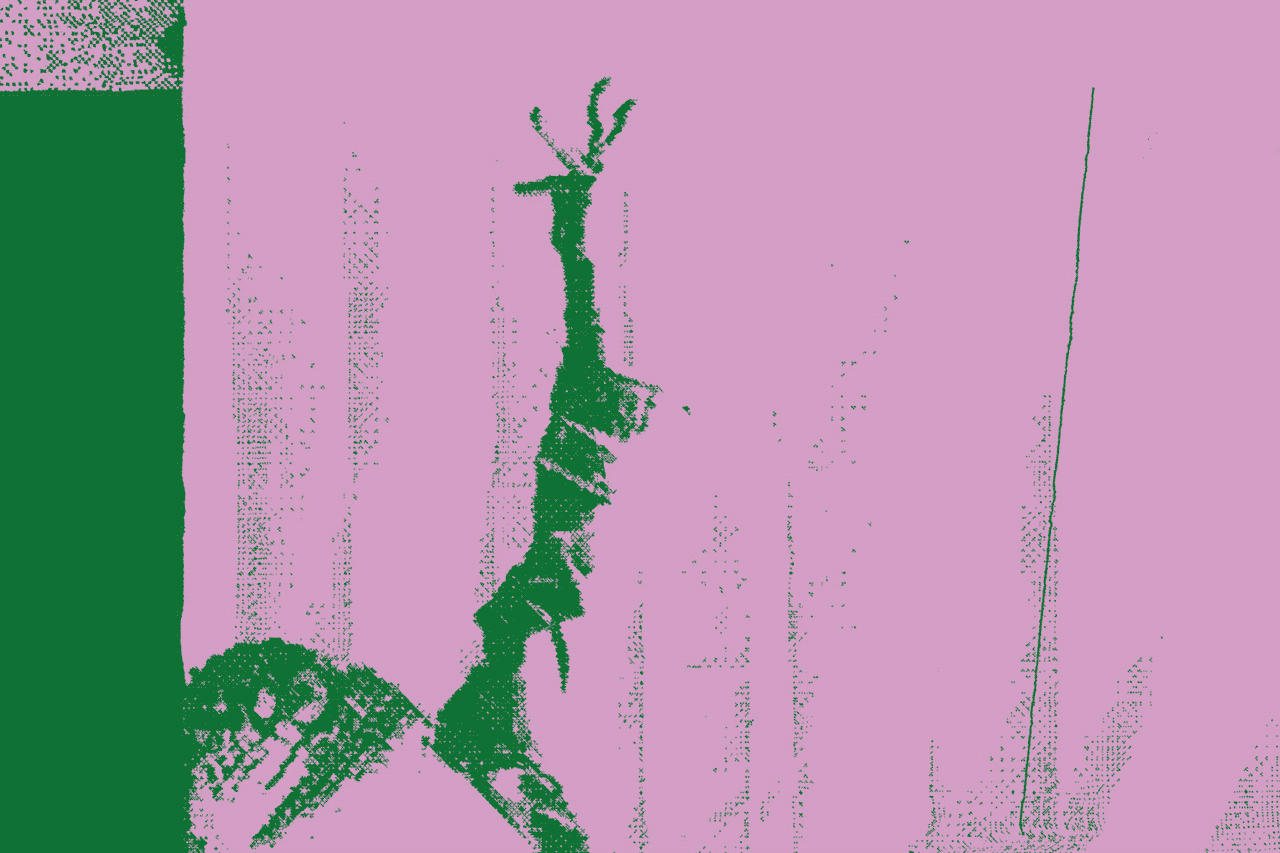 RADICAL ECOLOGY – RADICAL ECOLOGY