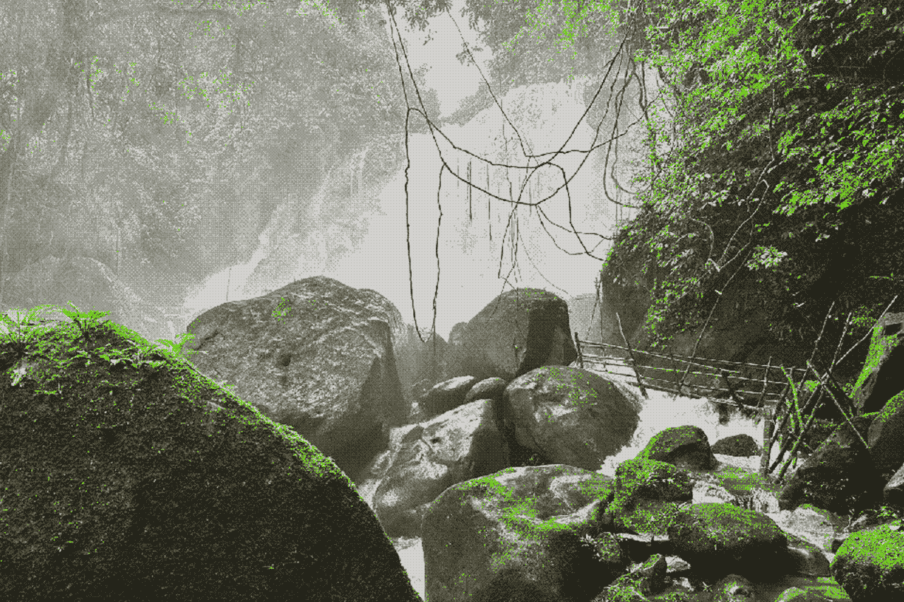 RADICAL ECOLOGY – RADICAL ECOLOGY