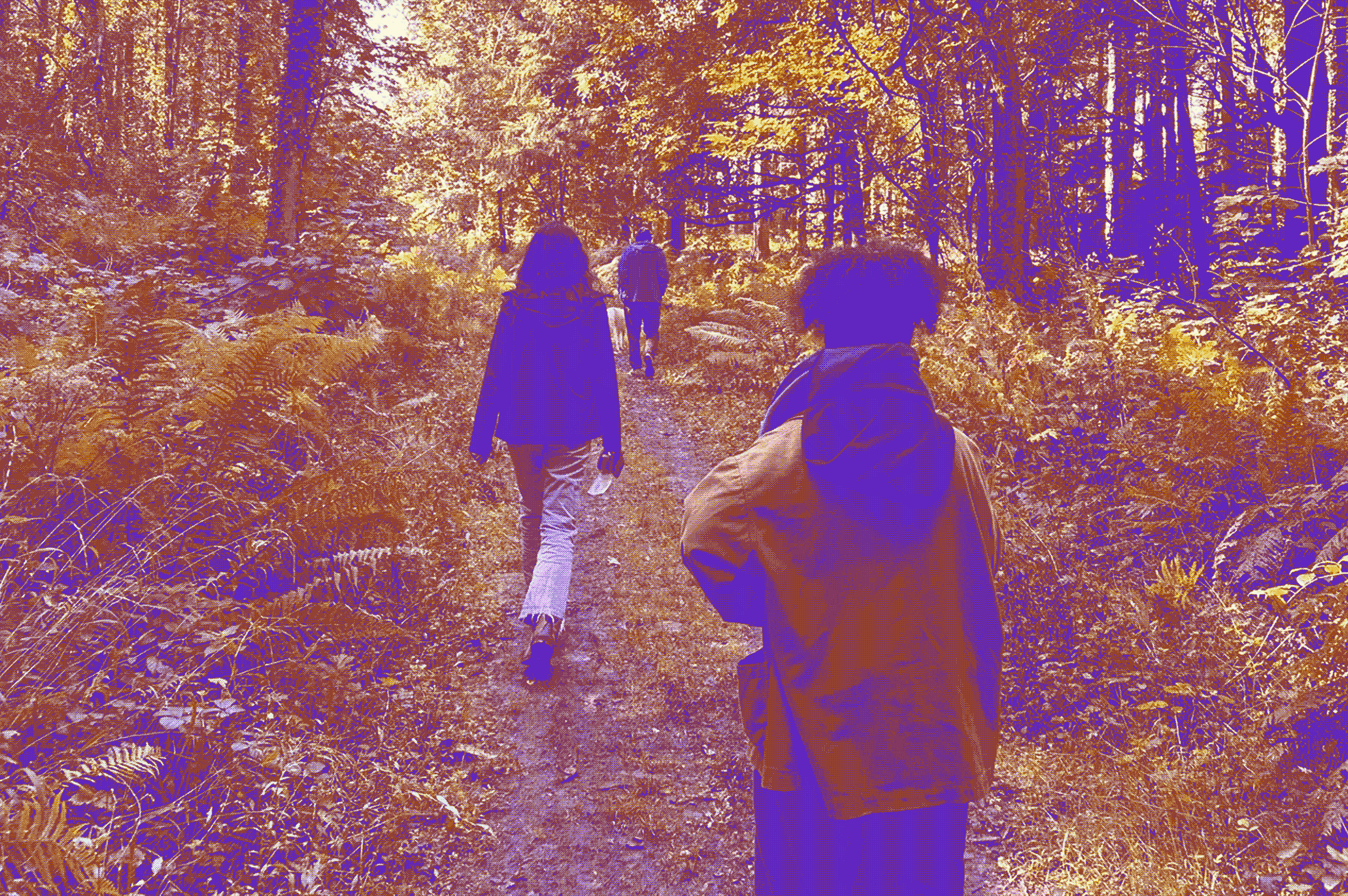 RADICAL ECOLOGY – RADICAL ECOLOGY