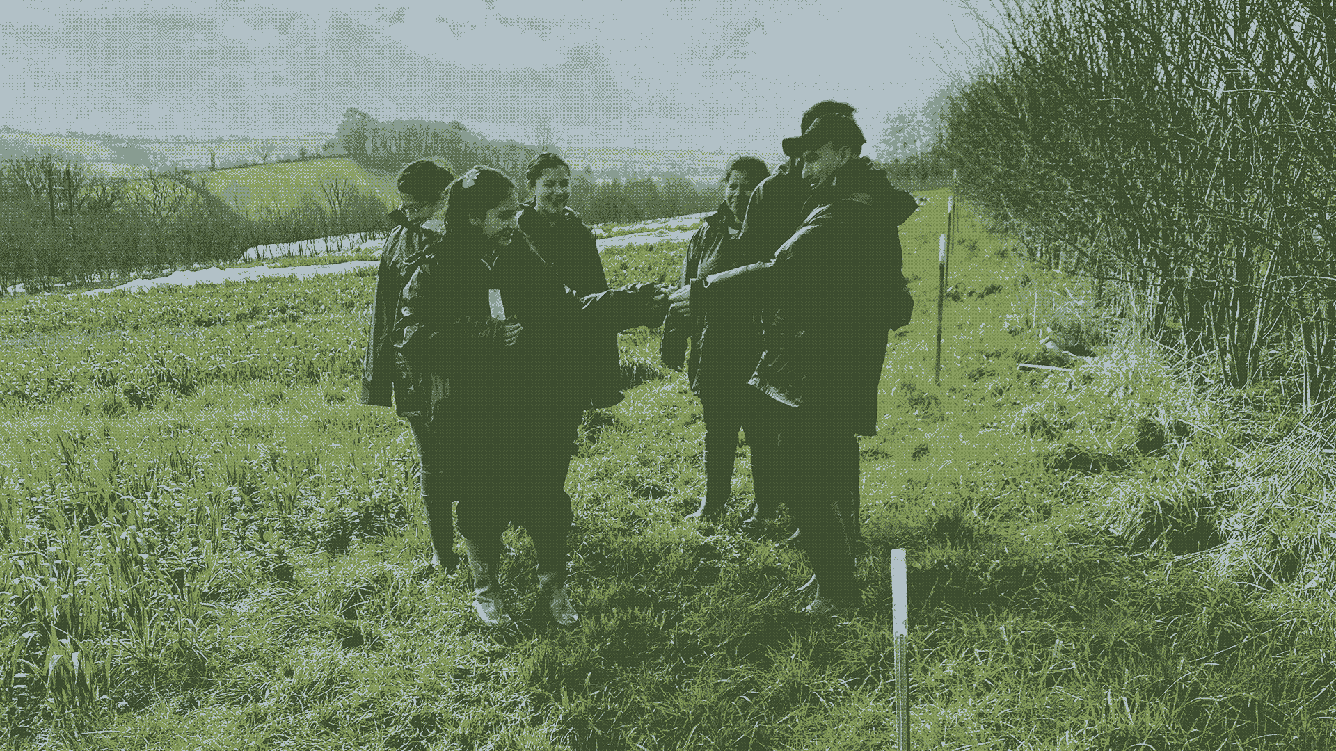 RADICAL ECOLOGY – RADICAL ECOLOGY