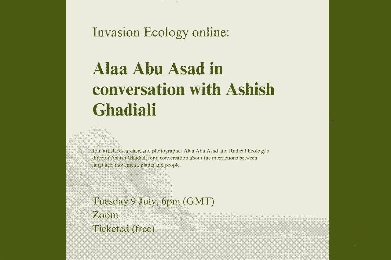 Alaa Abu Asad in conversation with Ashish Ghadiali – RADICAL ECOLOGY